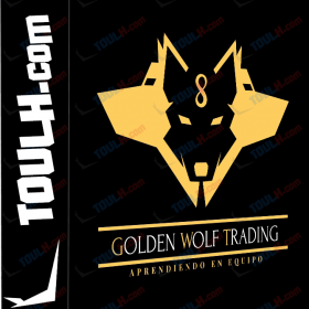 Daily Trading - Conviertete en Trader Profesional